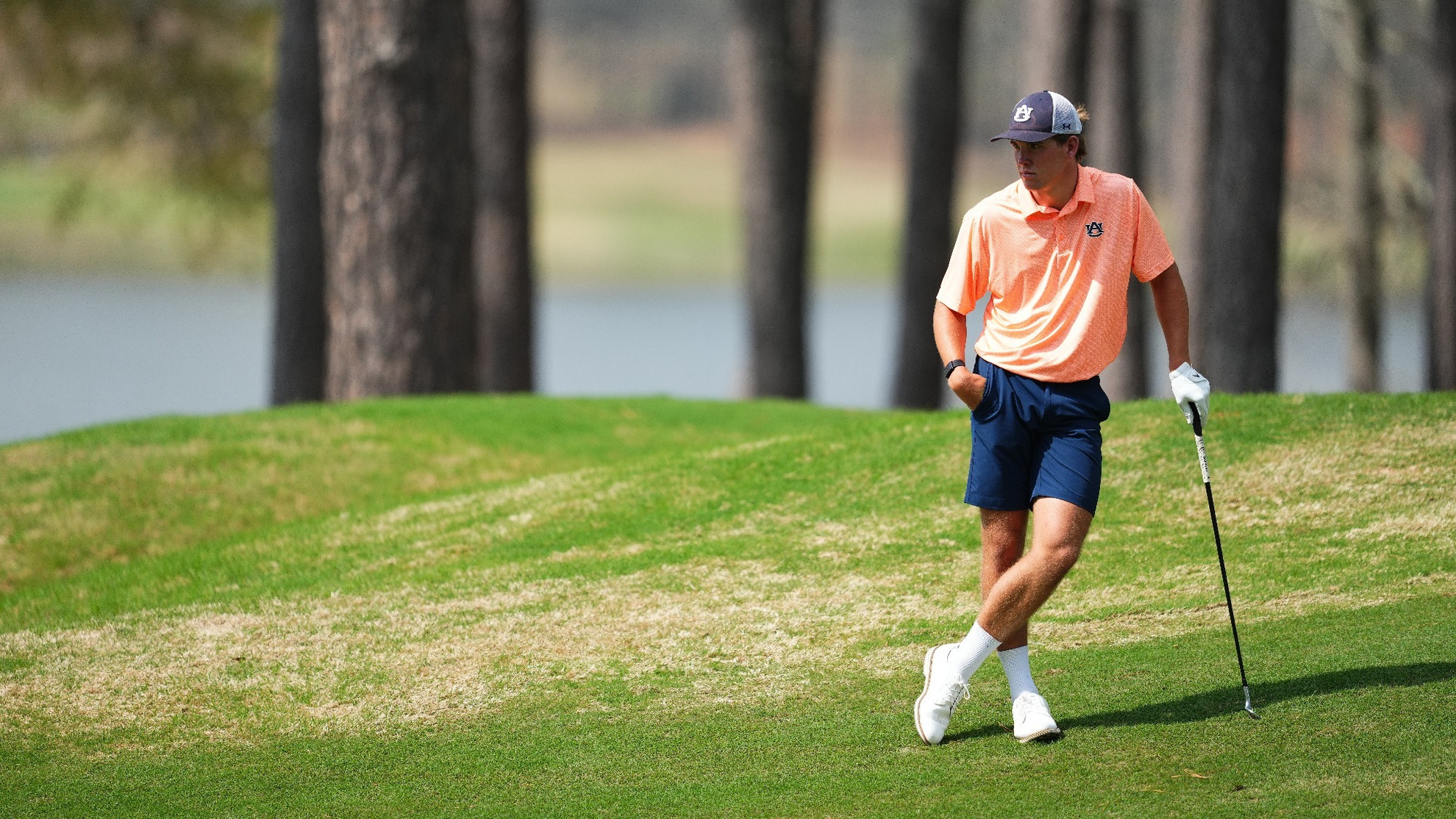 Reed Lotter earns nod as SEC Freshman of the Week - Auburn Tigers ...