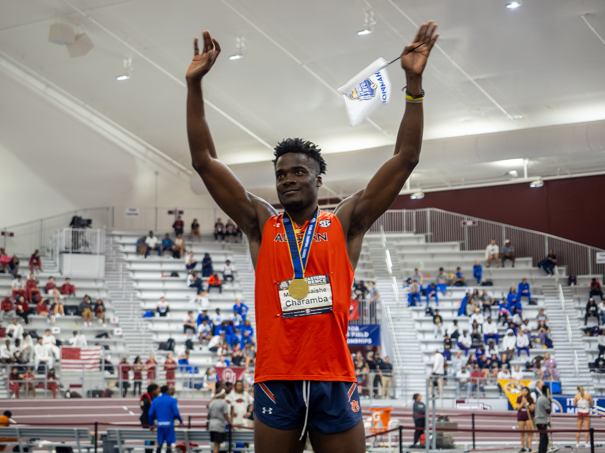 Seven Tigers earn All-Conference honors at SEC Indoor Championships ...