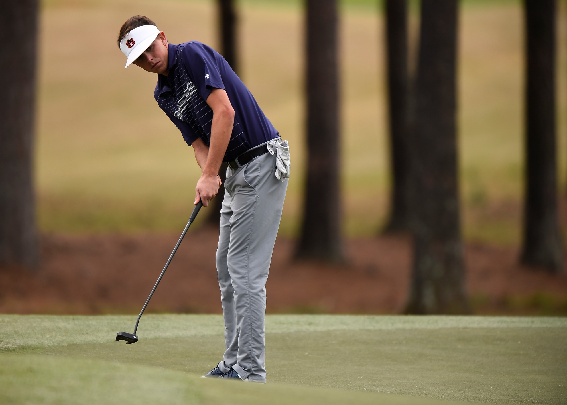 No. 17 Auburn Men's Golf wins Tiger Invitational by five strokes ...