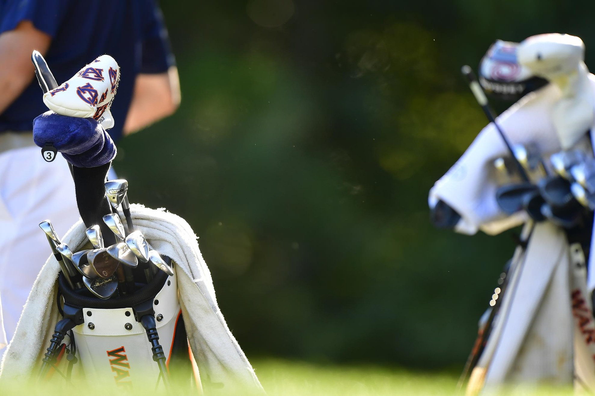 Men’s golf inks Reed Lotter for 2022-23 season - Auburn Tigers ...