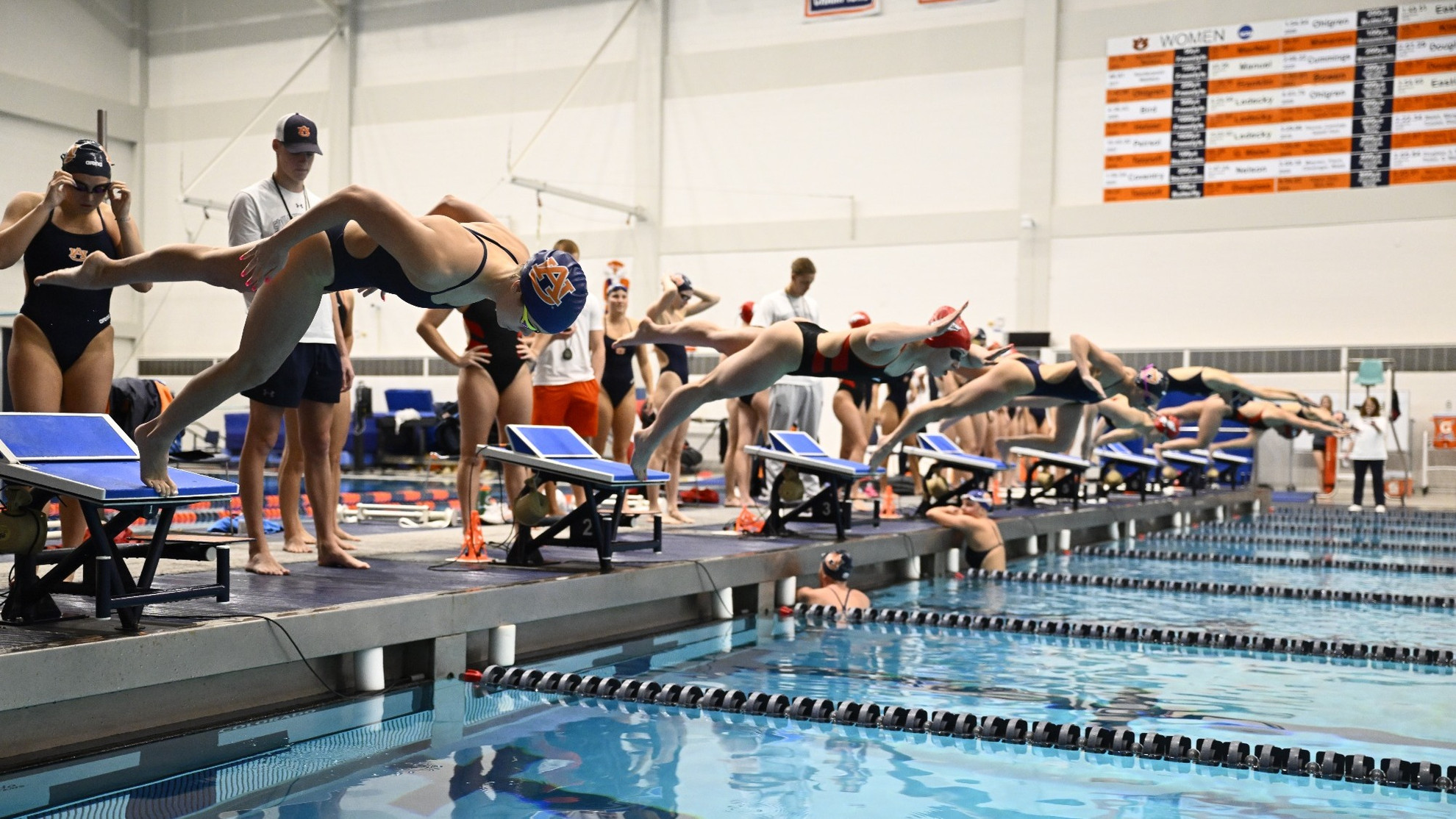 Tigers cruise to dual win over Razorbacks - Auburn Tigers - Official ...