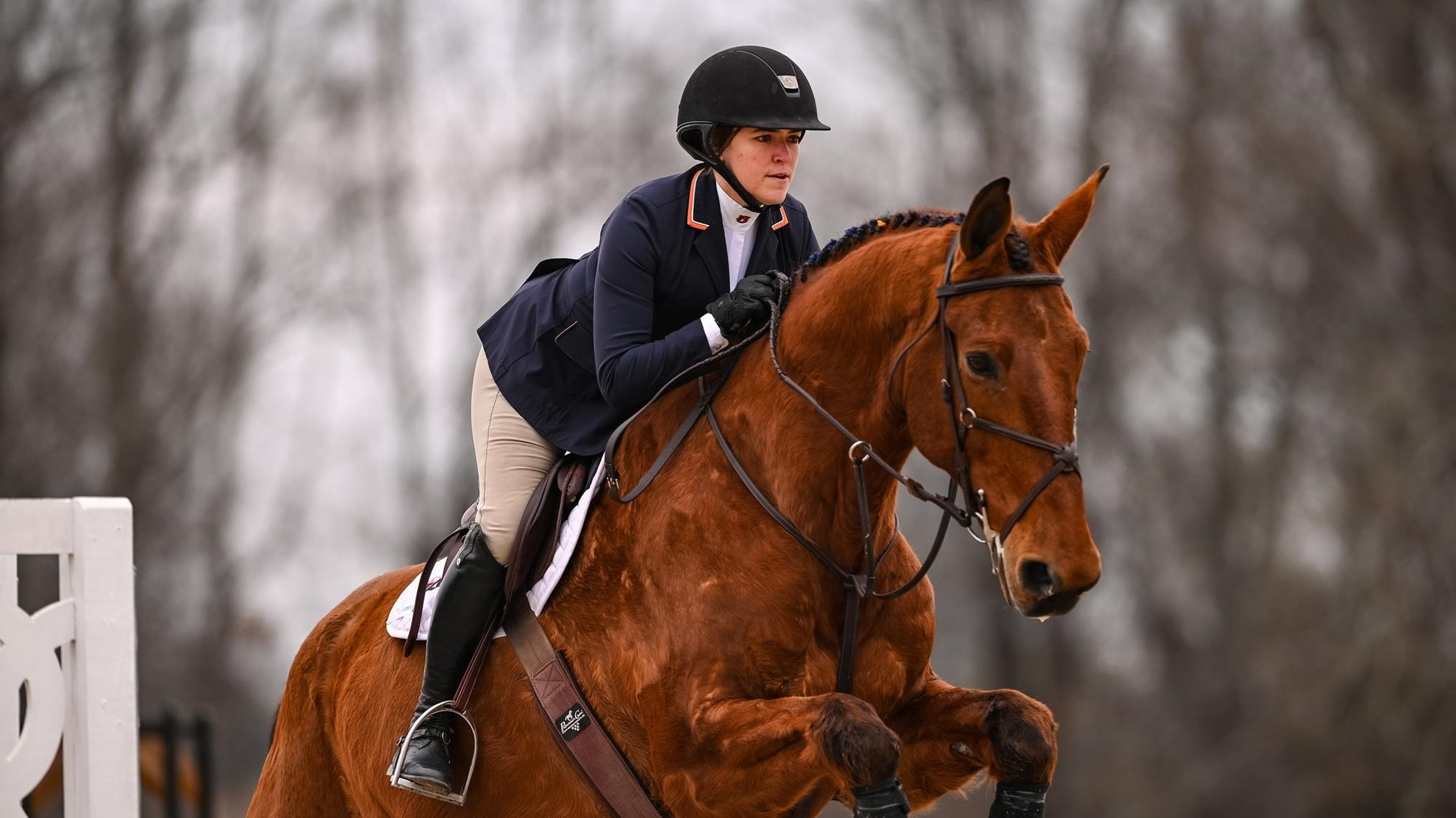 Catching Up with Meghan Knapic - Auburn Tigers - Official Athletics Website