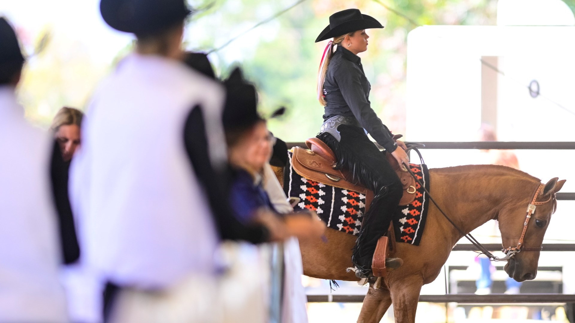 No. 4 Auburn equestrian welcomes No. 5 Texas A&M to the Plains - Auburn ...