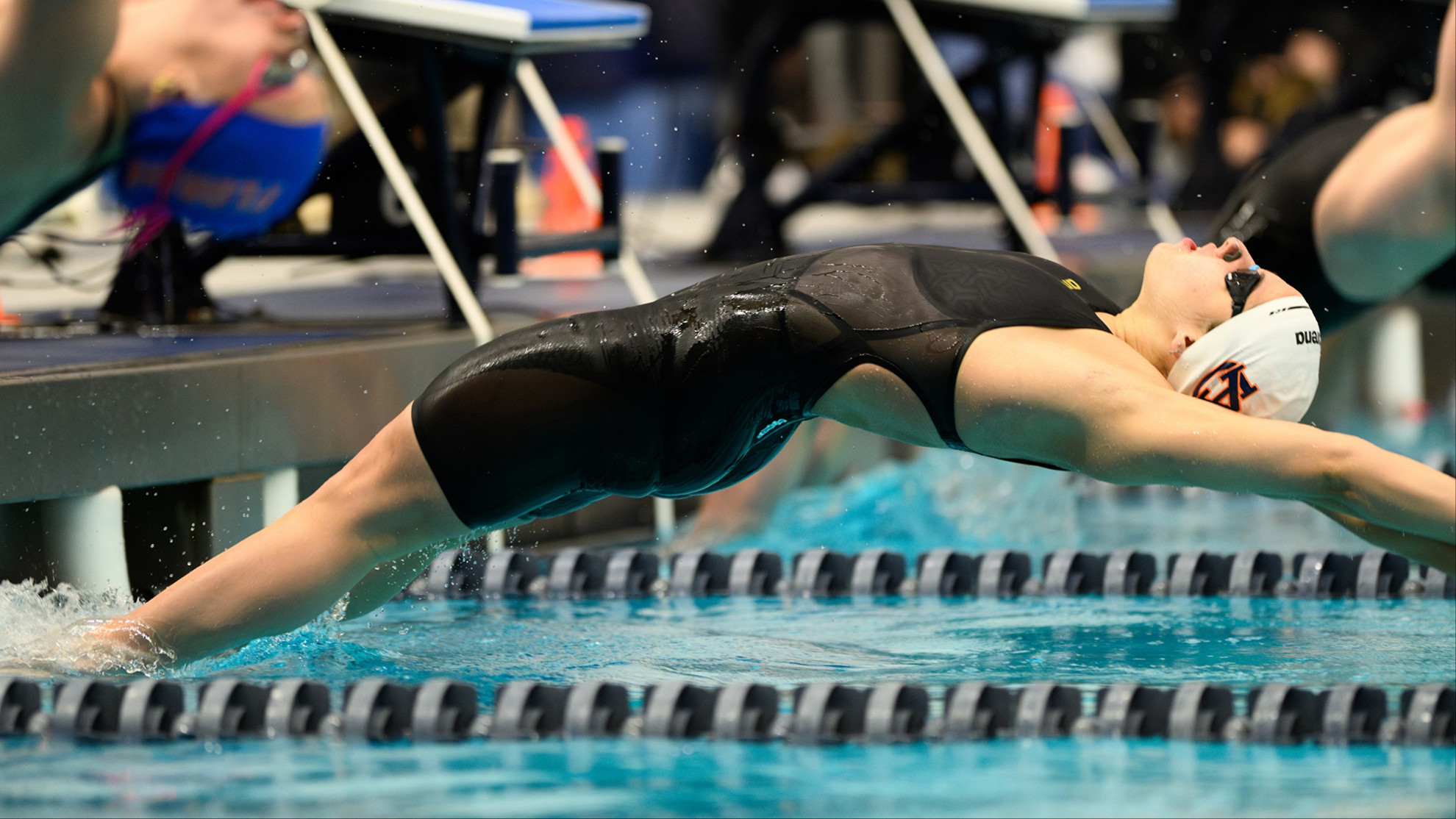 Swim and Dive preps for 2026 SEC Championships - Auburn Tigers ...