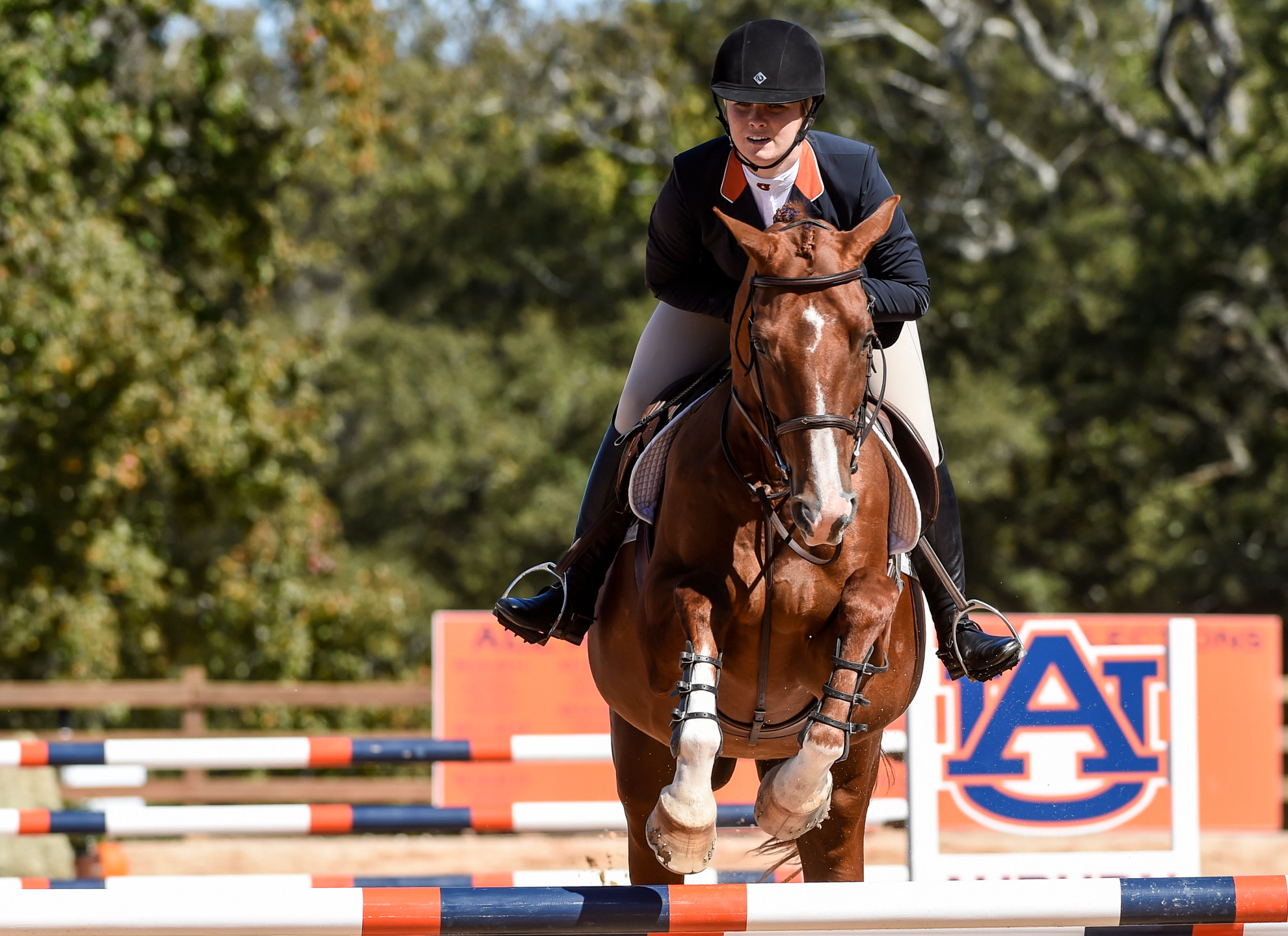 Alumni Spotlight: Elizabeth Benson - Auburn Tigers - Official Athletics ...