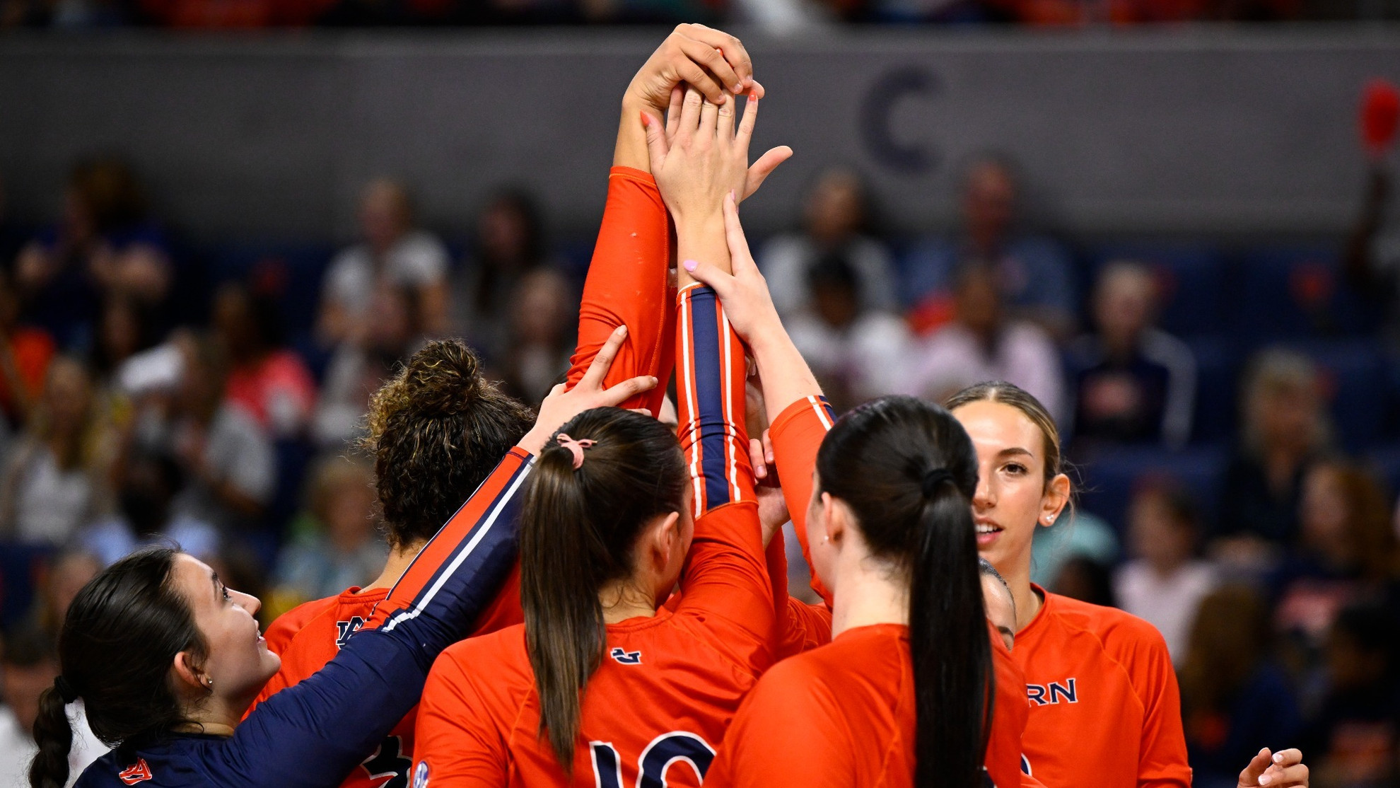 No. 24 Tigers go toe-to-toe with No. 3 Gators, fall in five - Auburn ...
