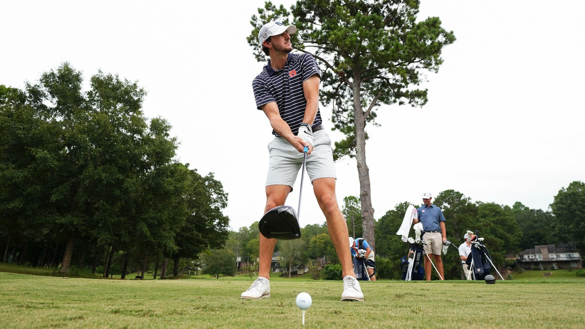 Max Johnson - Men's Golf 2023-24 - Auburn Tigers - Official Athletics ...