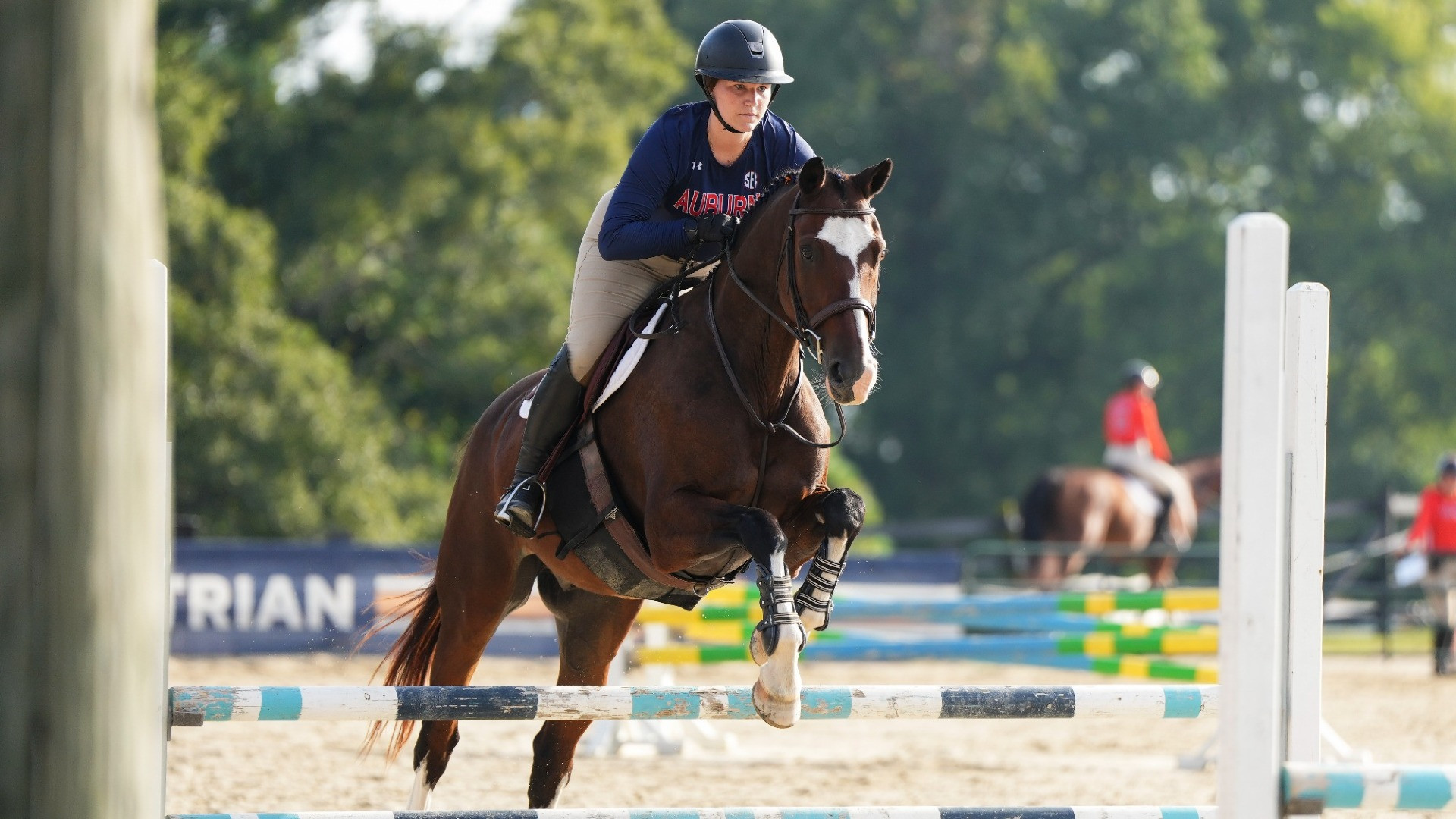 Equestrian - Auburn Tigers - Official Athletics Website