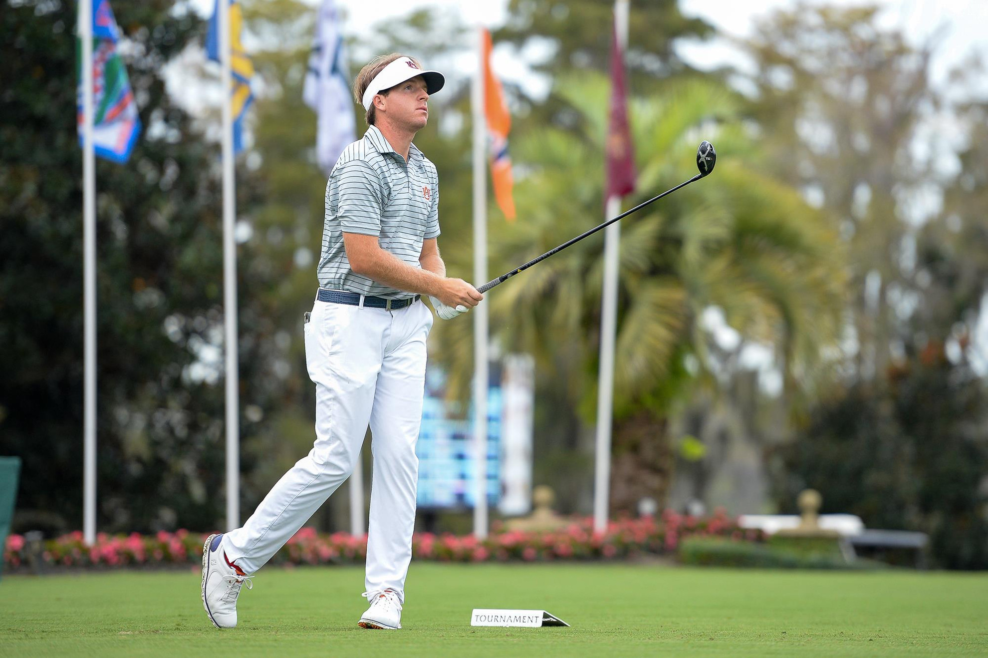 Rebula, Huff lead Tigers in second round of Amer Ari Invitational ...