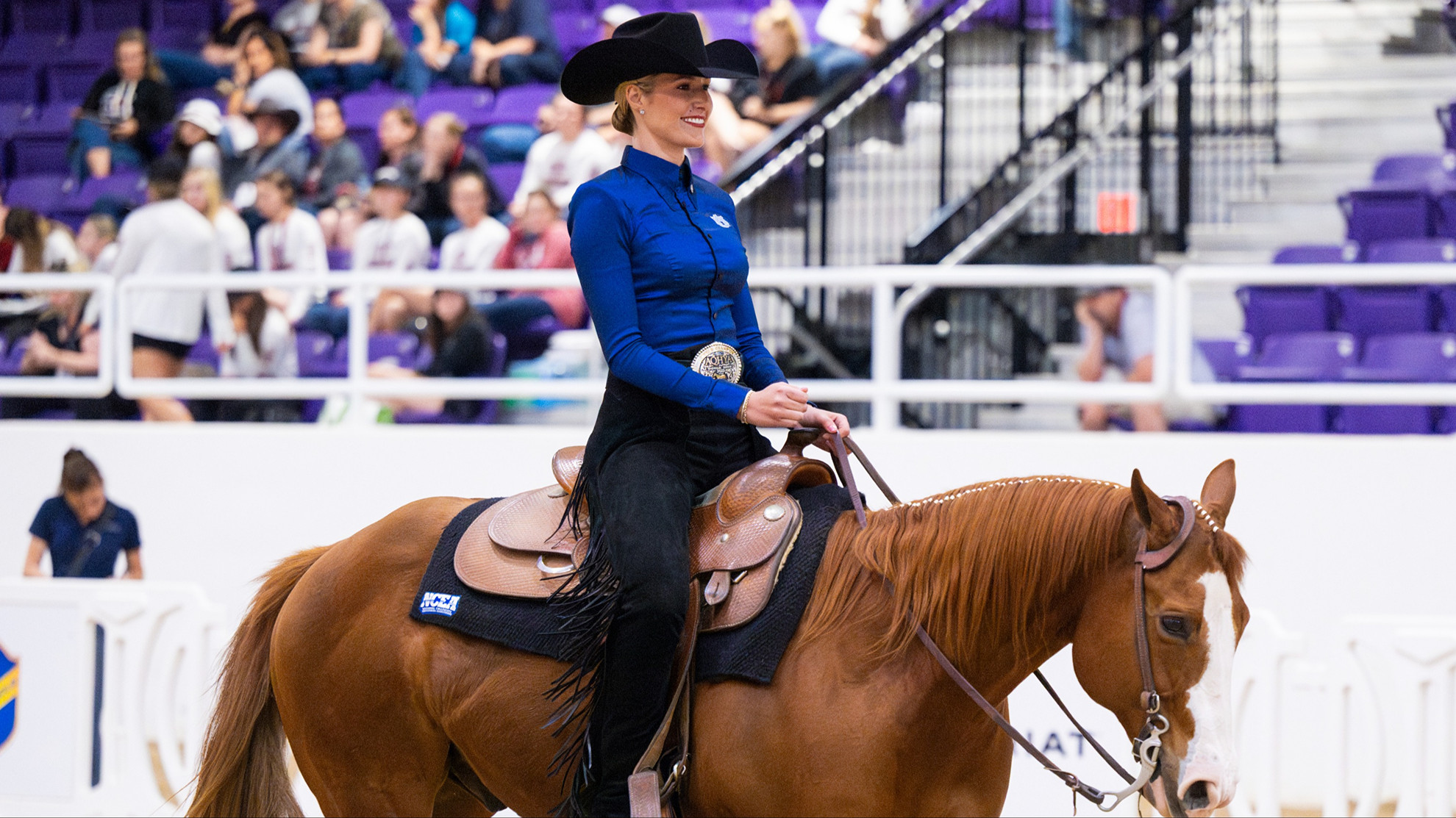 No. 4 Equestrian to host No. 8 Baylor in season opener - Auburn Tigers - Official Athletics Website