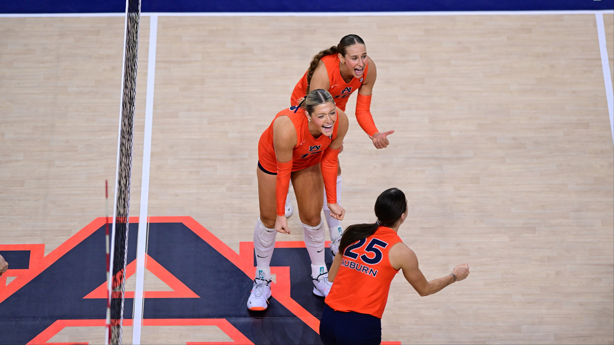 Block Party leads Auburn in sweep over Florida State - Auburn Tigers ...
