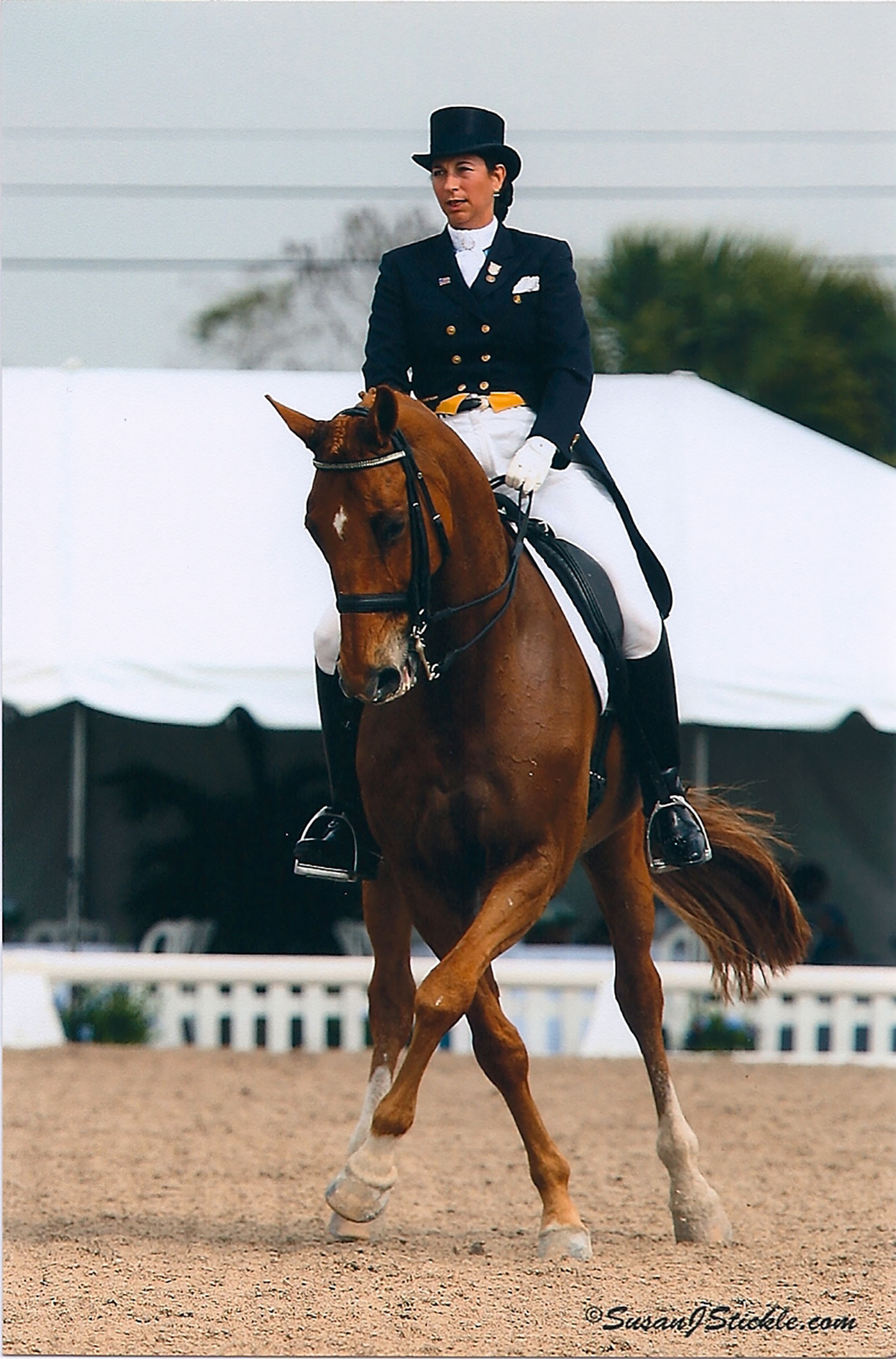 'A passion to pursue' - Suzanne Mott Dansby supports Auburn equestrian ...