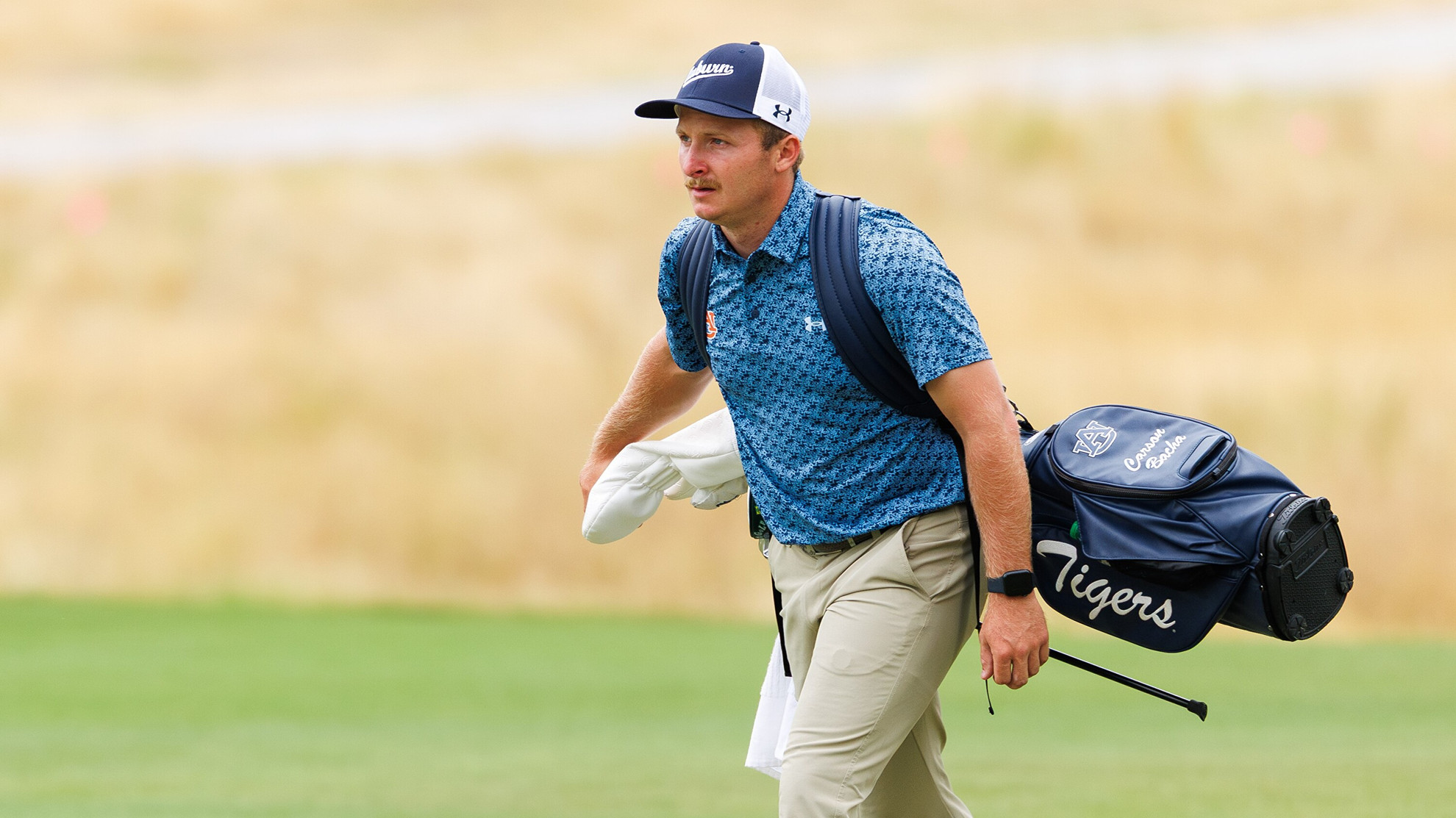 PING recognizes Gilbert, Bacha as All-Americans - Auburn Tigers ...