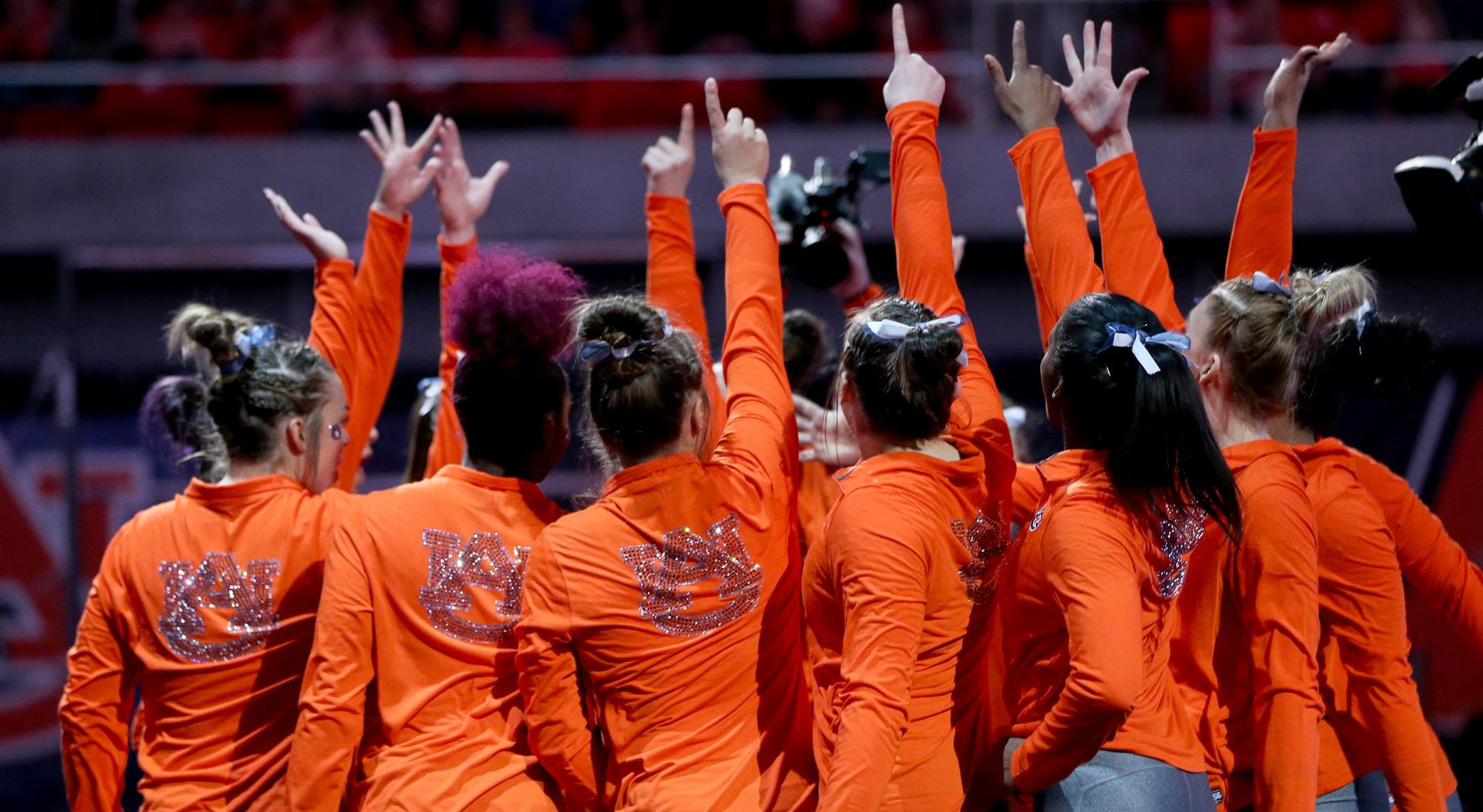 Gymnastics adds three to 2020 roster - Auburn Tigers - Official ...