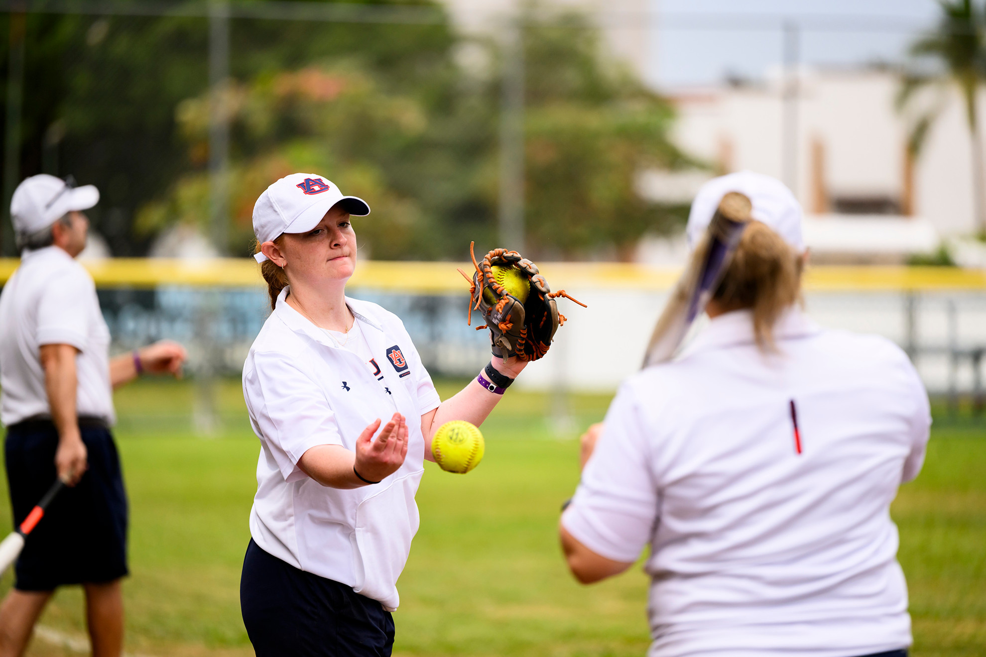 Abby Taylor - Auburn Tigers - Official Athletics Website
