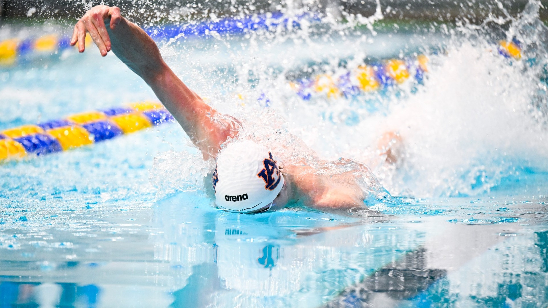 Auburn fast: After surgery, Logan Tirheimer reaches NCAA S&D ...