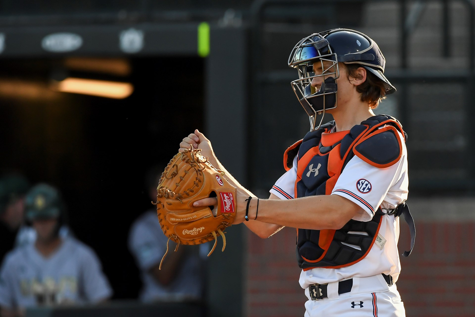 Matt Scheffler named to Buster Posey Award watch list - Auburn Tigers ...