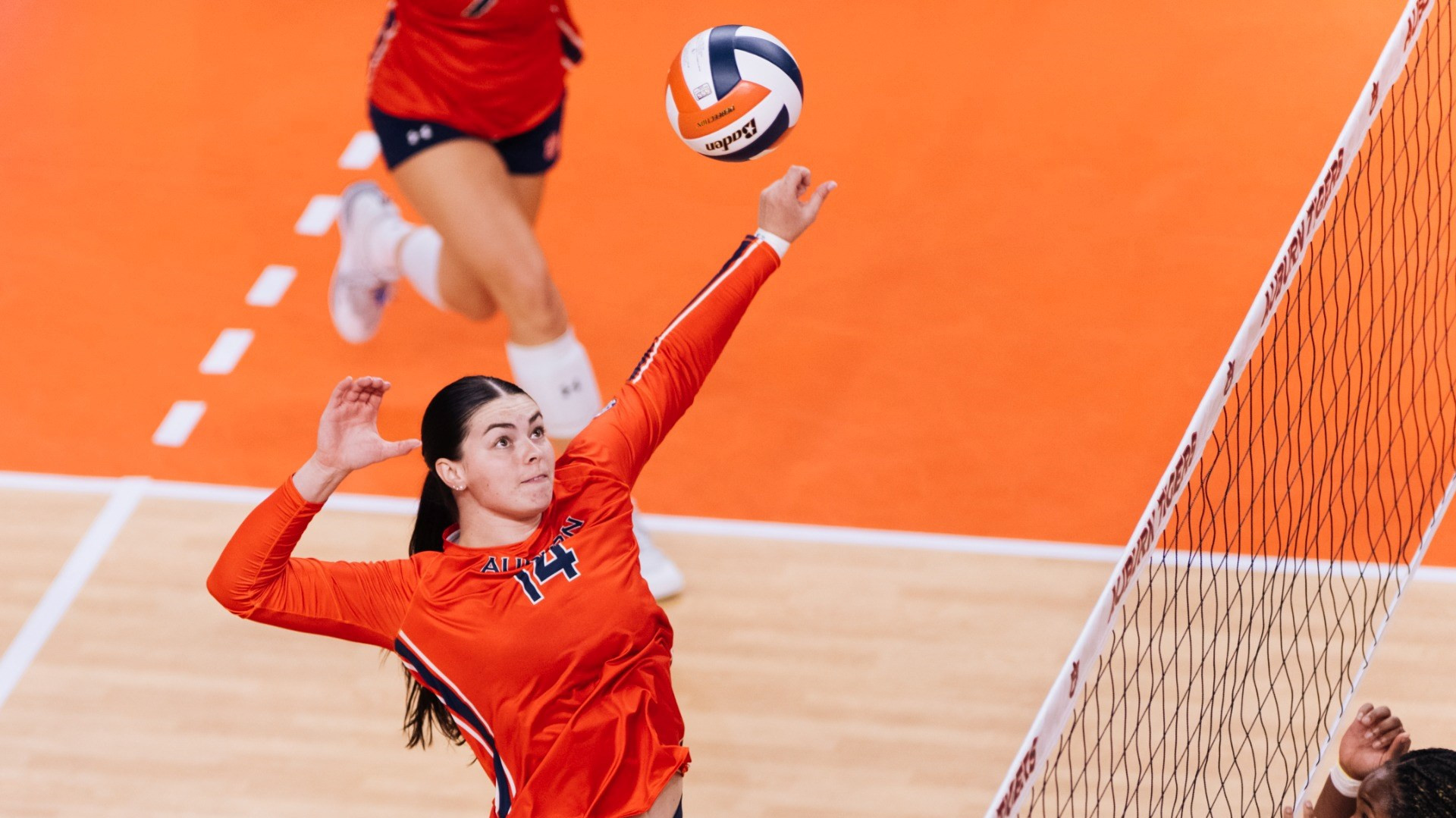 Auburn Volleyball looks to keep unbeaten record intact with Alabama A&M in town - Auburn Tigers ...