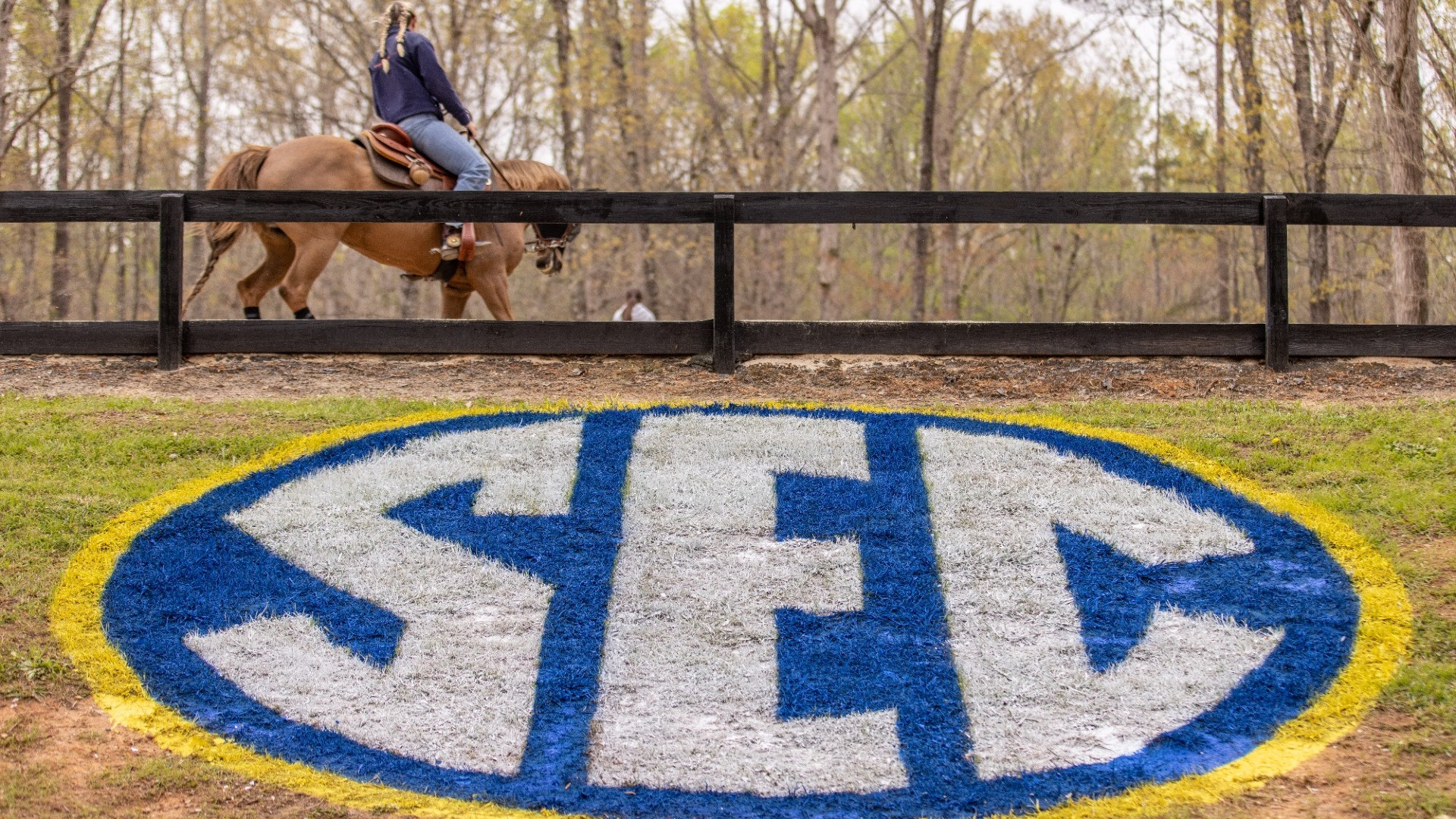 Auburn equestrian ready for 2023 SEC Championship - Auburn Tigers ...