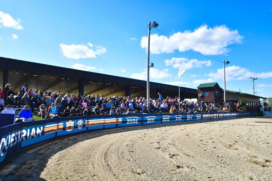 Auburn vs. South Carolina Equestrian Match Preview: Reining, Flat ...