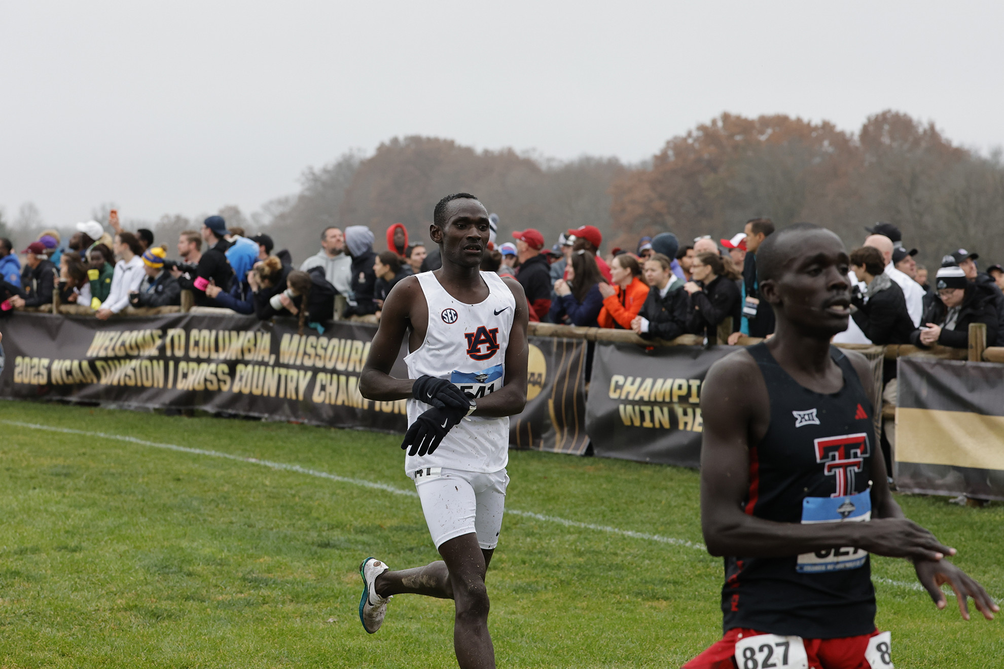 Chebii closes season at NCAA Cross Country Championships - Auburn ...