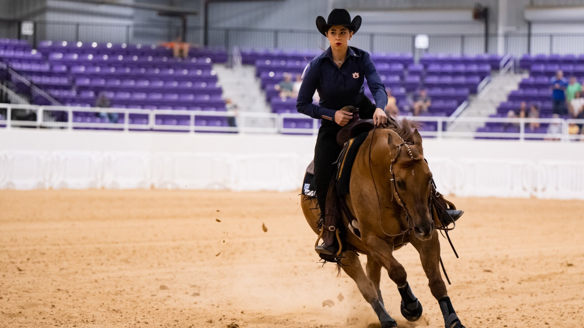 Olivia Bradley - Equestrian 2024-25 - Auburn Tigers - Official Athletics Website