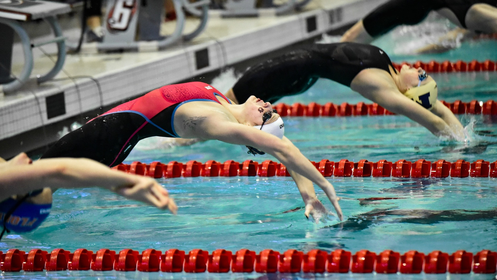 Top times continue to roll in for the Tigers on day two of UGA Fall ...