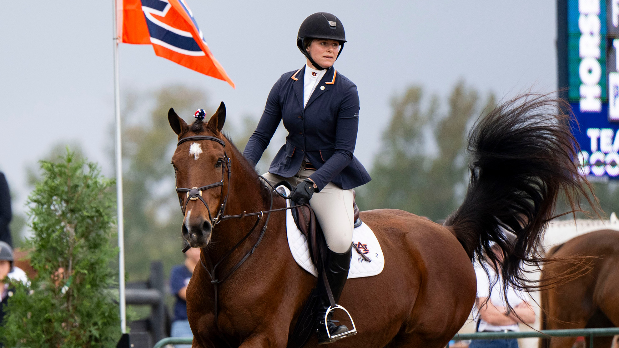 Ferrigno named SEC Fences Rider of the Month - Other AU Sports - AUFAMILY