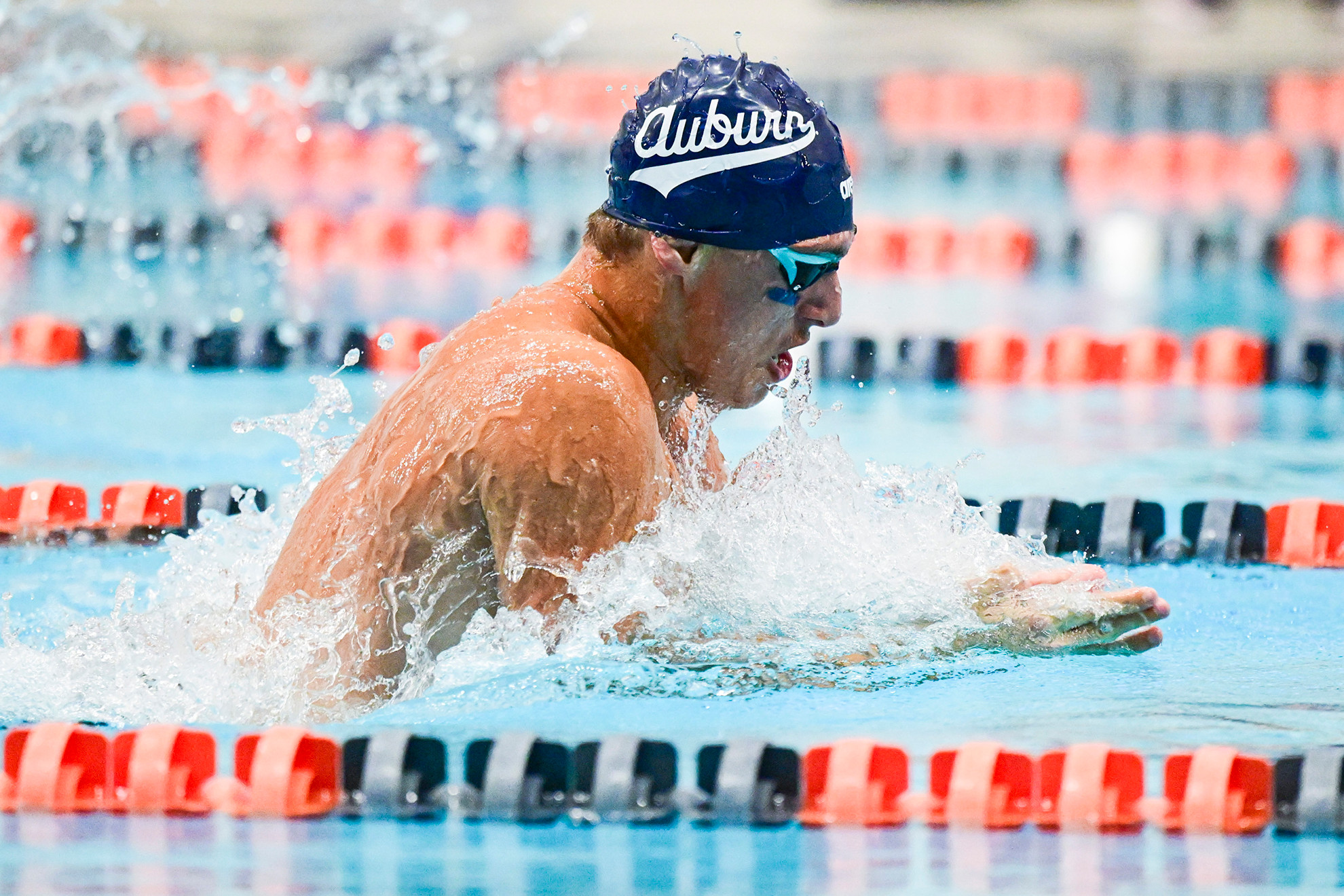 Swim and Dive begins regular season with SMU Invite and West Florida ...