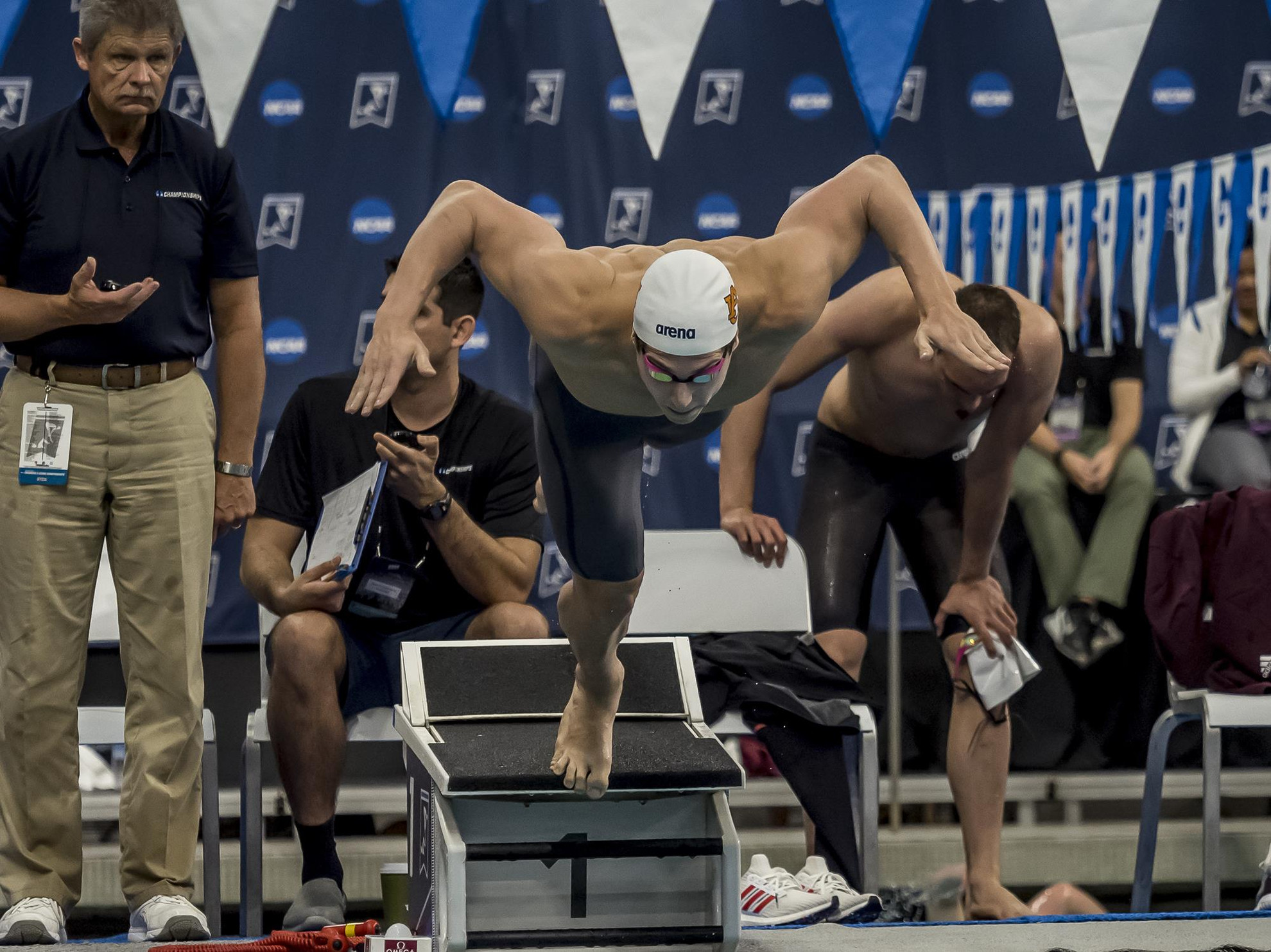 Auburn Swimming & Diving Notebook - Auburn Tigers - Official Athletics ...