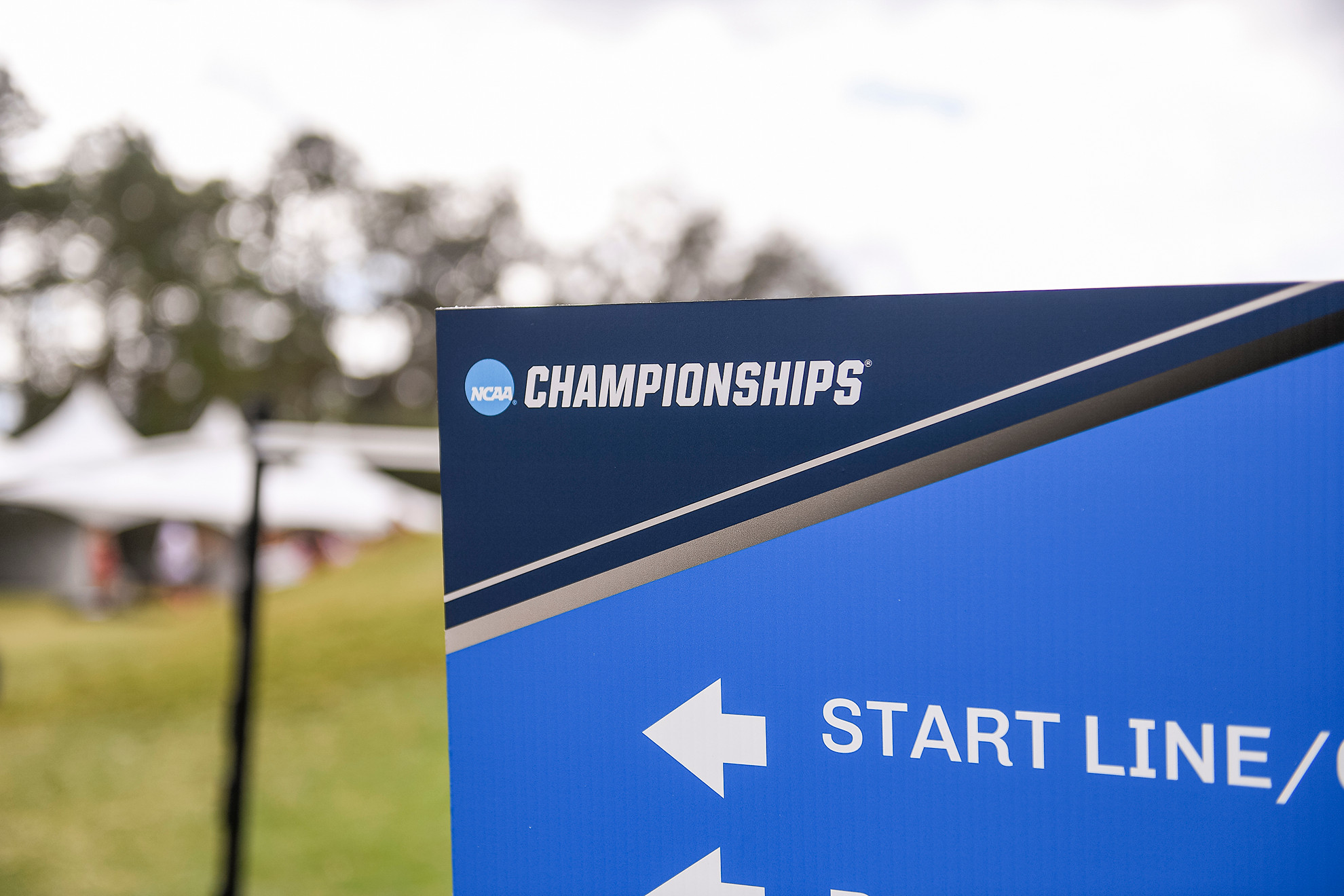 Trio of Tigers set to compete at cross country championships - Auburn ...