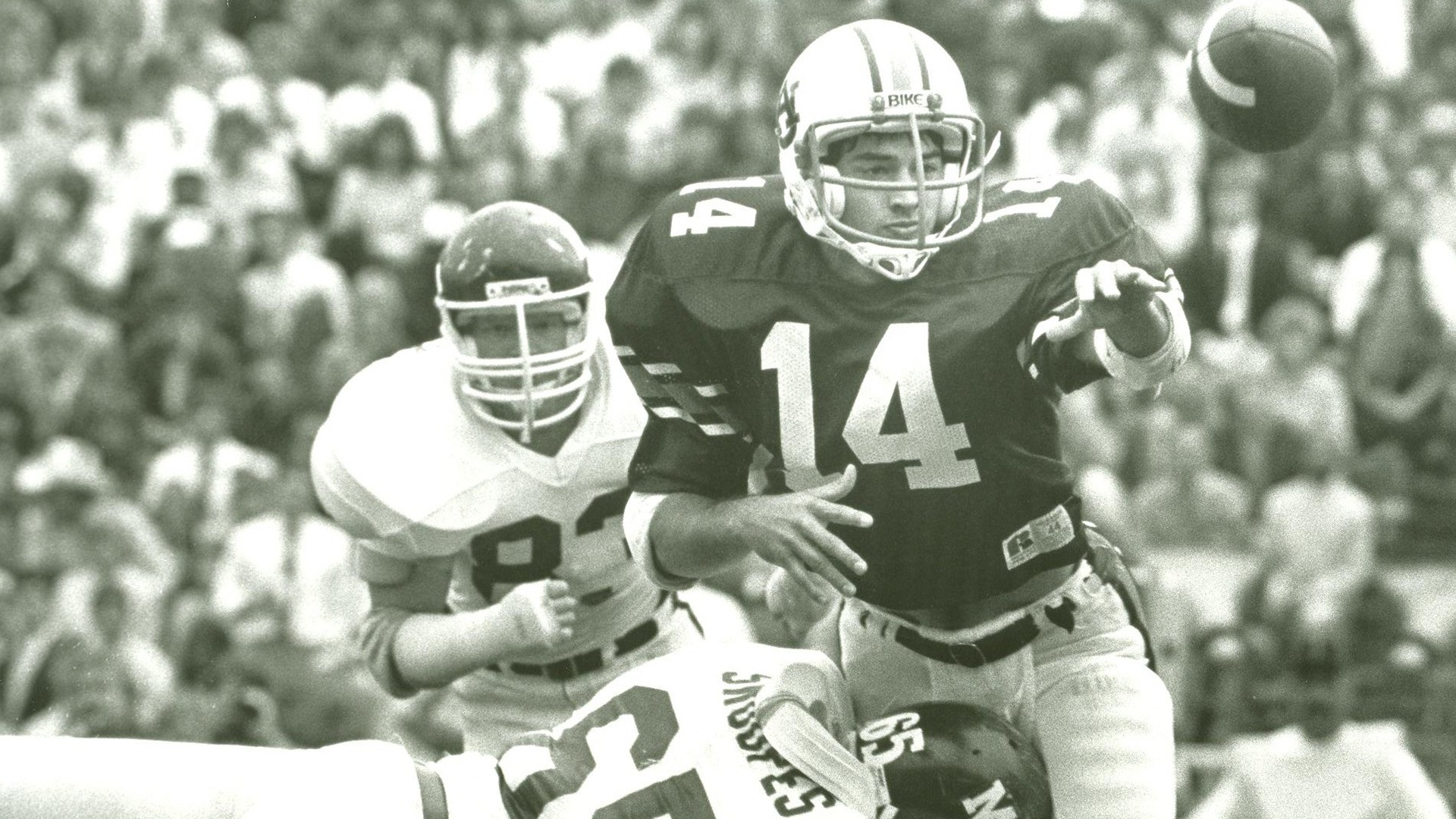 Talking Tigers - Randy Campbell - Auburn Tigers - Official Athletics Website