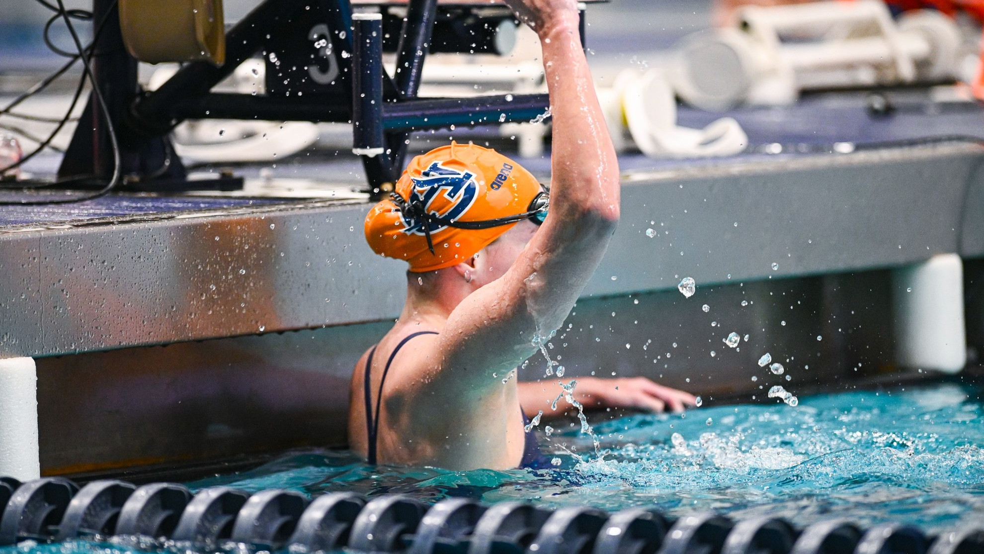 Auburn Swim and Dive hosts rival Alabama in final dual of the season ...