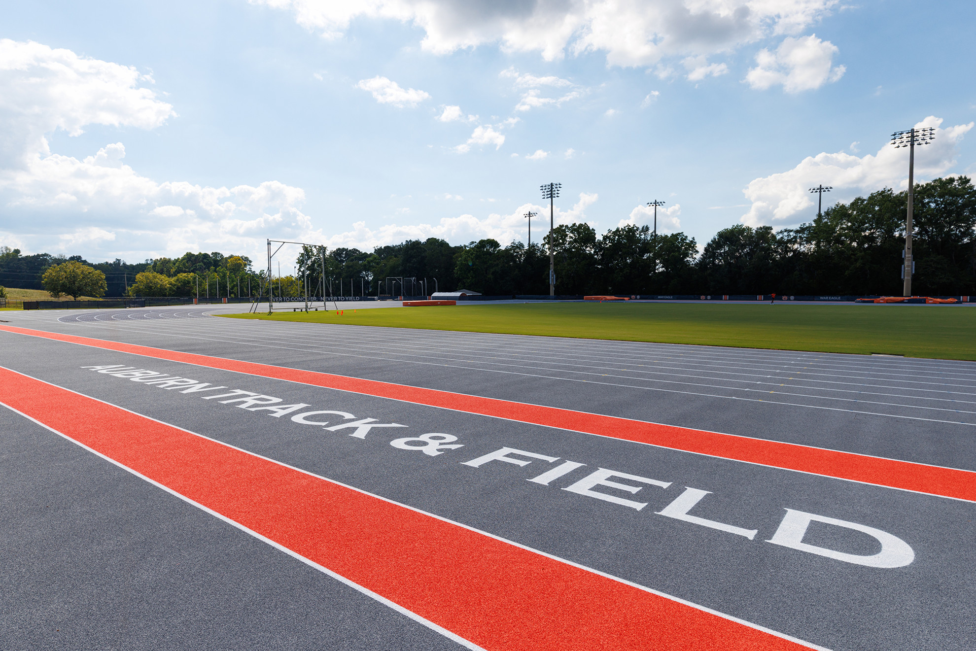 Joseph Riccio - Auburn Tigers - Official Athletics Website