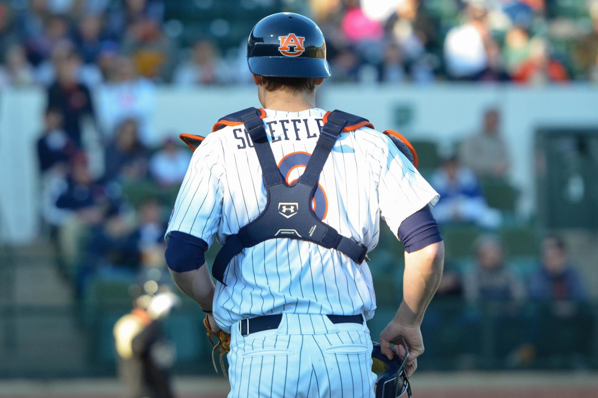 'Earn everything' - Matt Scheffler Senior Spotlight - Auburn Tigers ...