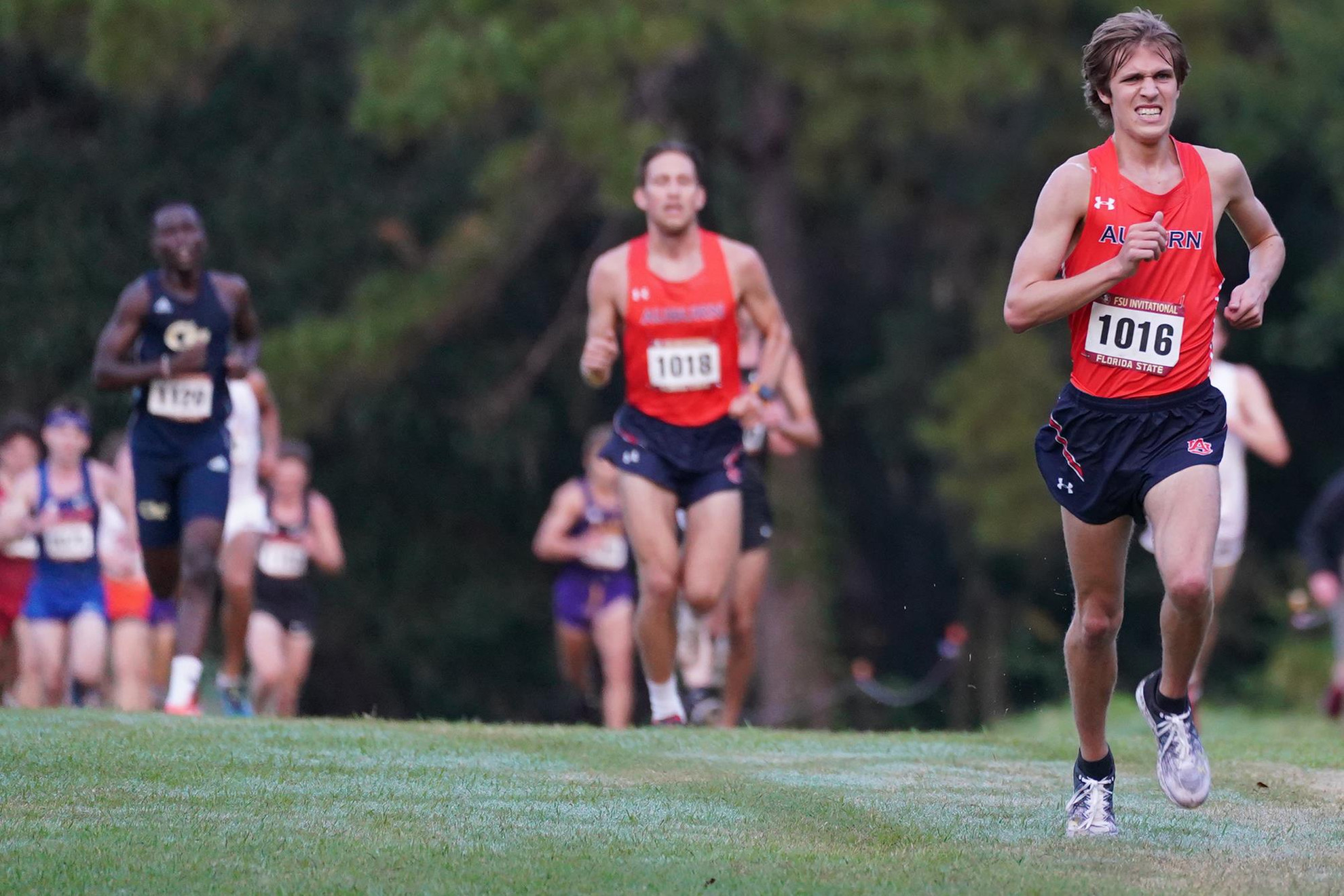 McDonough claims gold at Foothills Invitational - Auburn Tigers ...