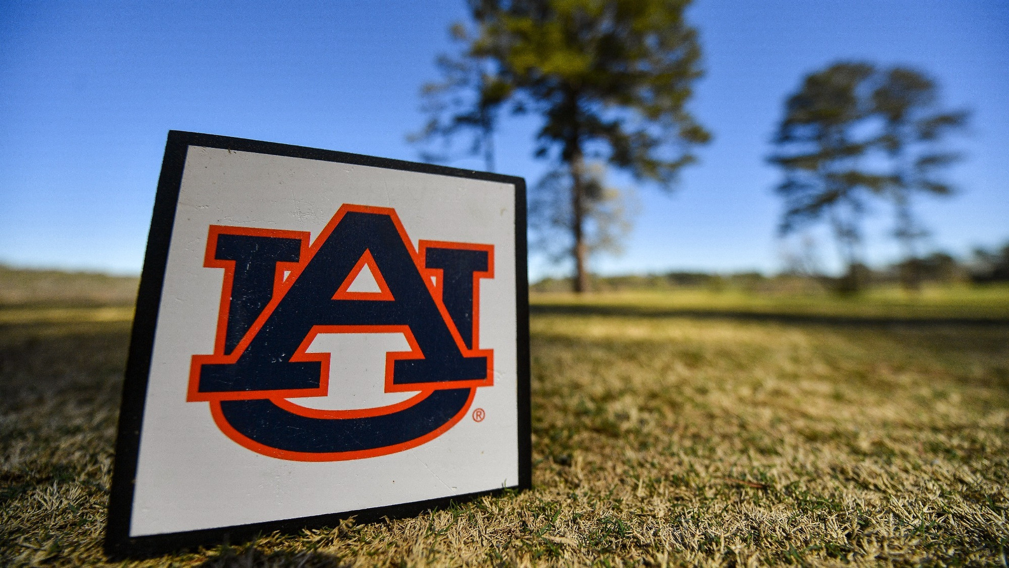 Reed Lotter - Men's Golf 2024-25 - Auburn Tigers - Official Athletics ...