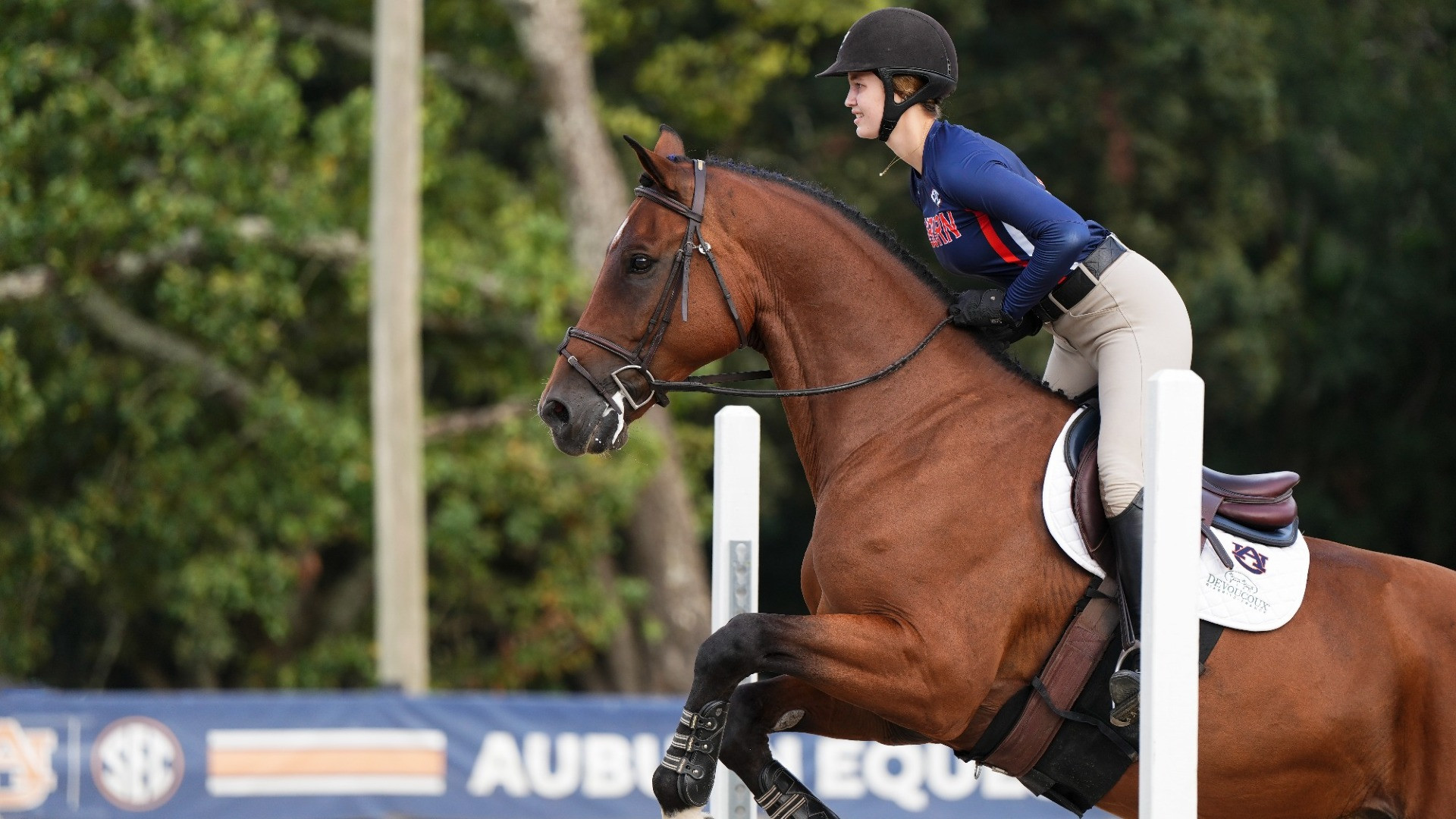 Alexis Seiden - Equestrian 2024-25 - Auburn Tigers - Official Athletics ...