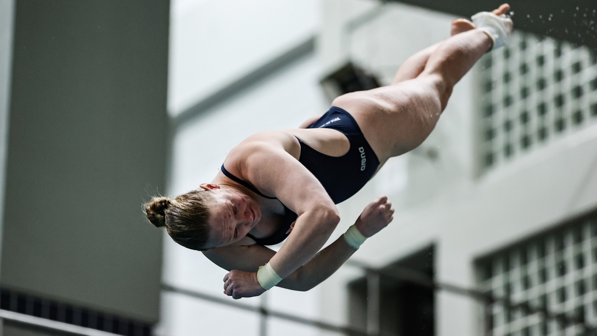 Season and personal records highlight day three of Auburn Diving Invite ...