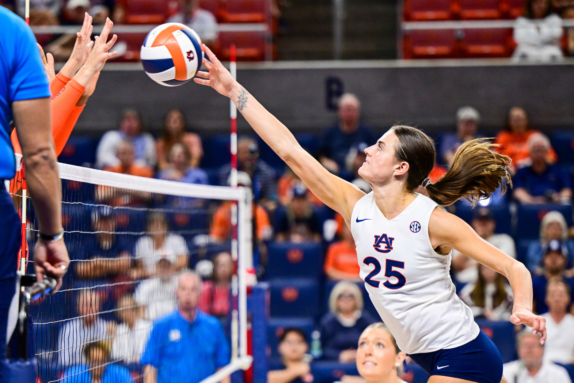 Photo Gallery: Auburn vs. Virginia - Auburn Tigers - Official Athletics ...