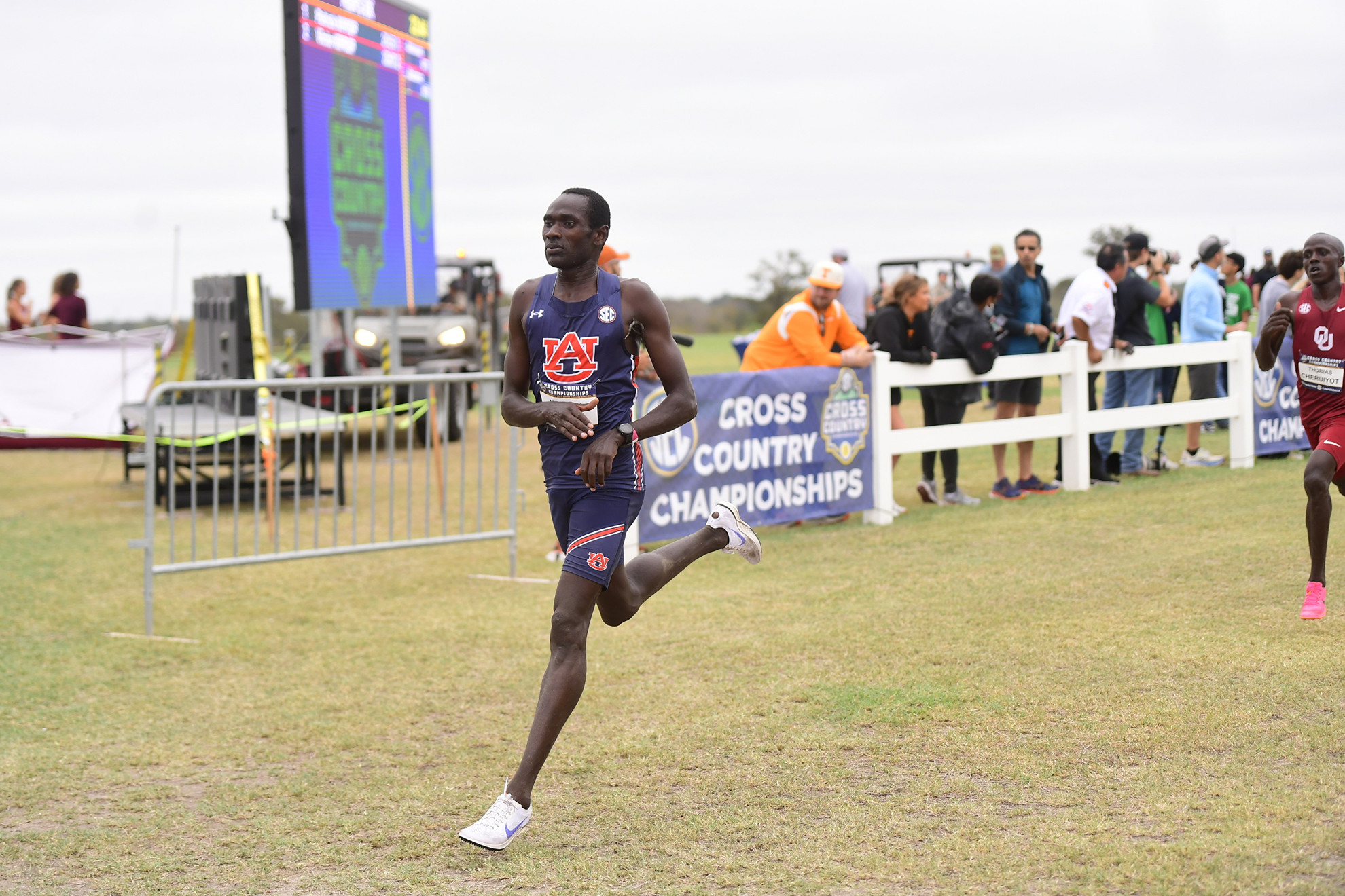 Chebii and Jepchirchir highlight Tigers' showing at SEC Cross Country ...