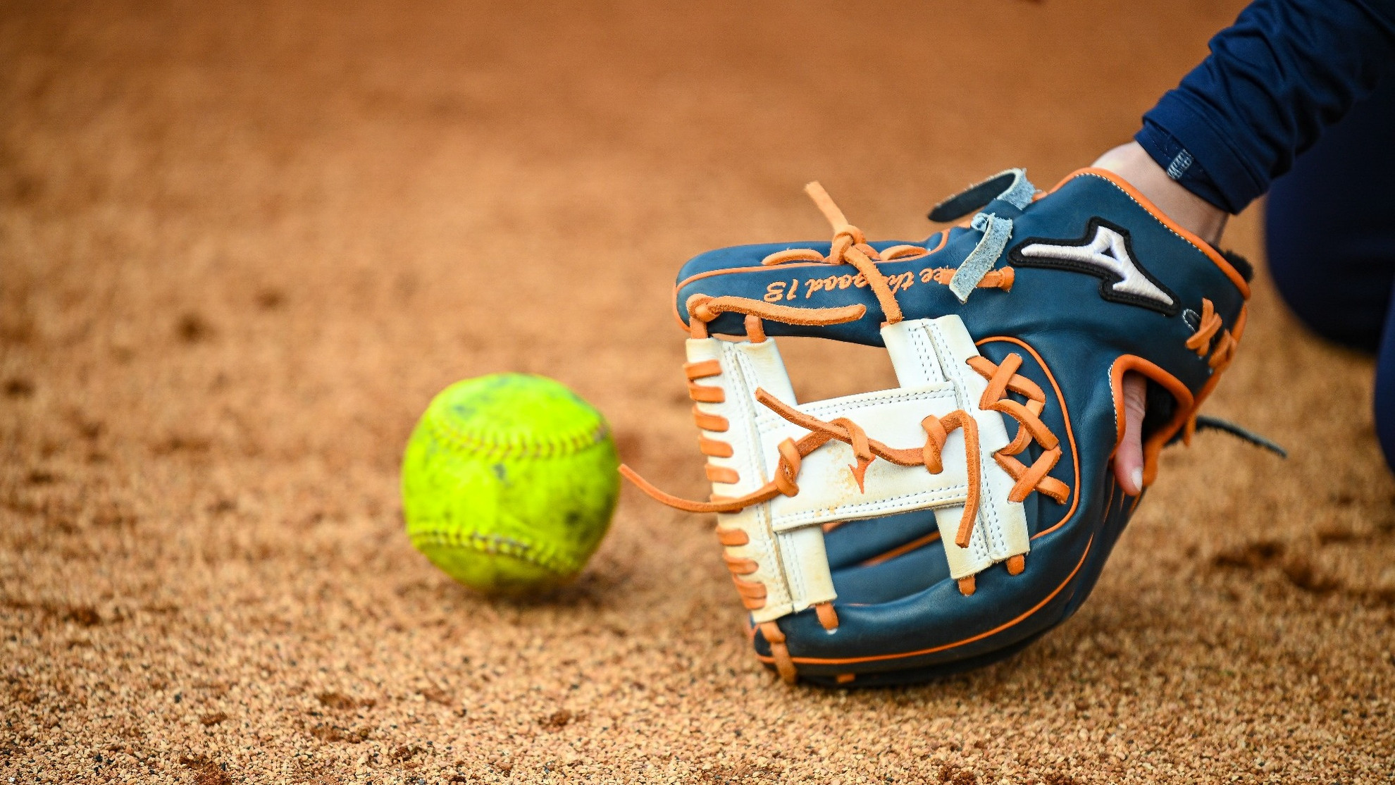 Nine Tigers tabbed Easton/NFCA All-America Scholar Athletes - Auburn ...