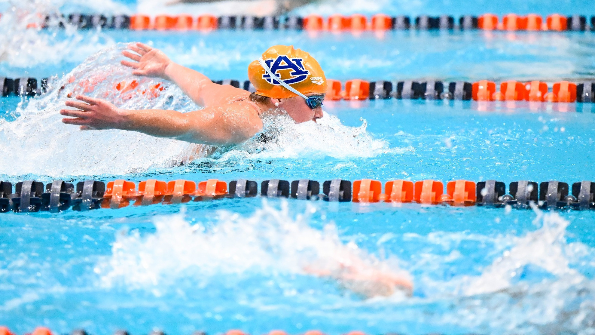 Swim and Dive finishes strong at Louisville - Auburn Tigers - Official ...